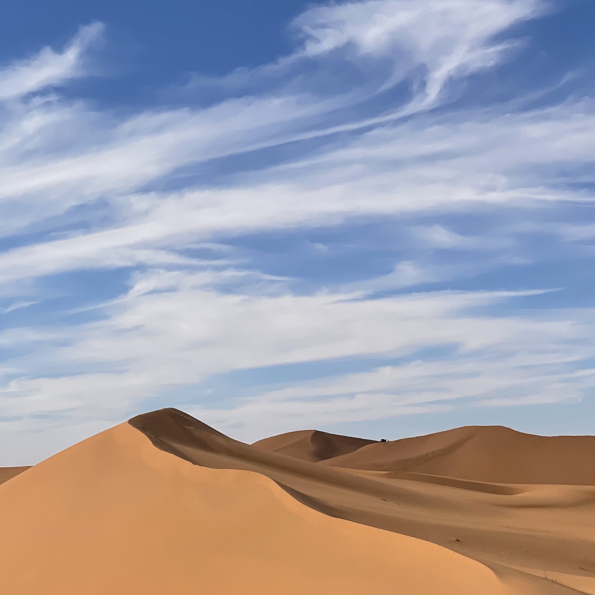 Quad Bikes (ATVs) & Camel Riders - Saudi Safari Tours